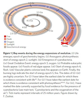 Rapid Uplift: Olivia Judson On Energy Expansions Of Evolution