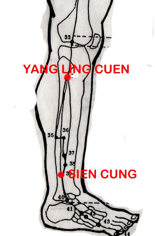 Titik Pengobatan Pada KEKAKUAN DINDING PEMBULUH DARAH - PENYUMBATAN