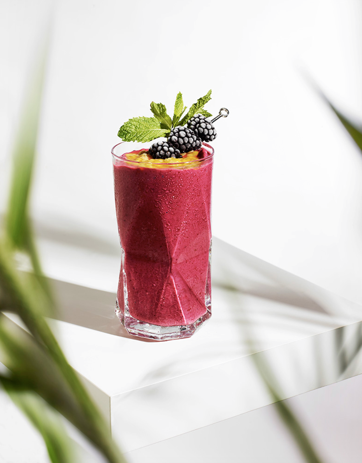 Sarah Anne Ward Photography News