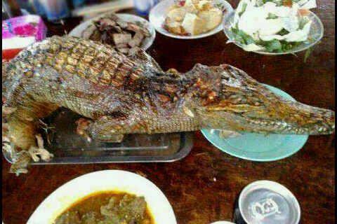 Info Nusantara: Restoran Chicago Sajikan Daging Buaya Utuh