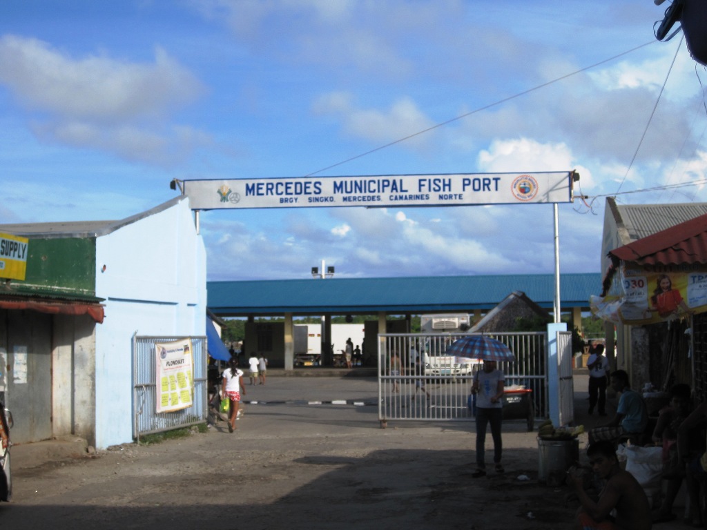 the norm and the craziness....: The Vinzons and Mercedes, Camarines ...