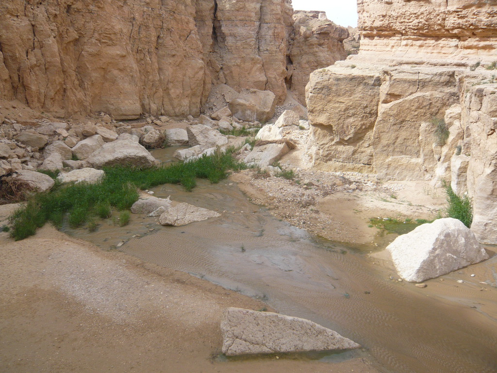 L'oasis de Tamerza Tozeur - Tunisie Voyage et Loisir