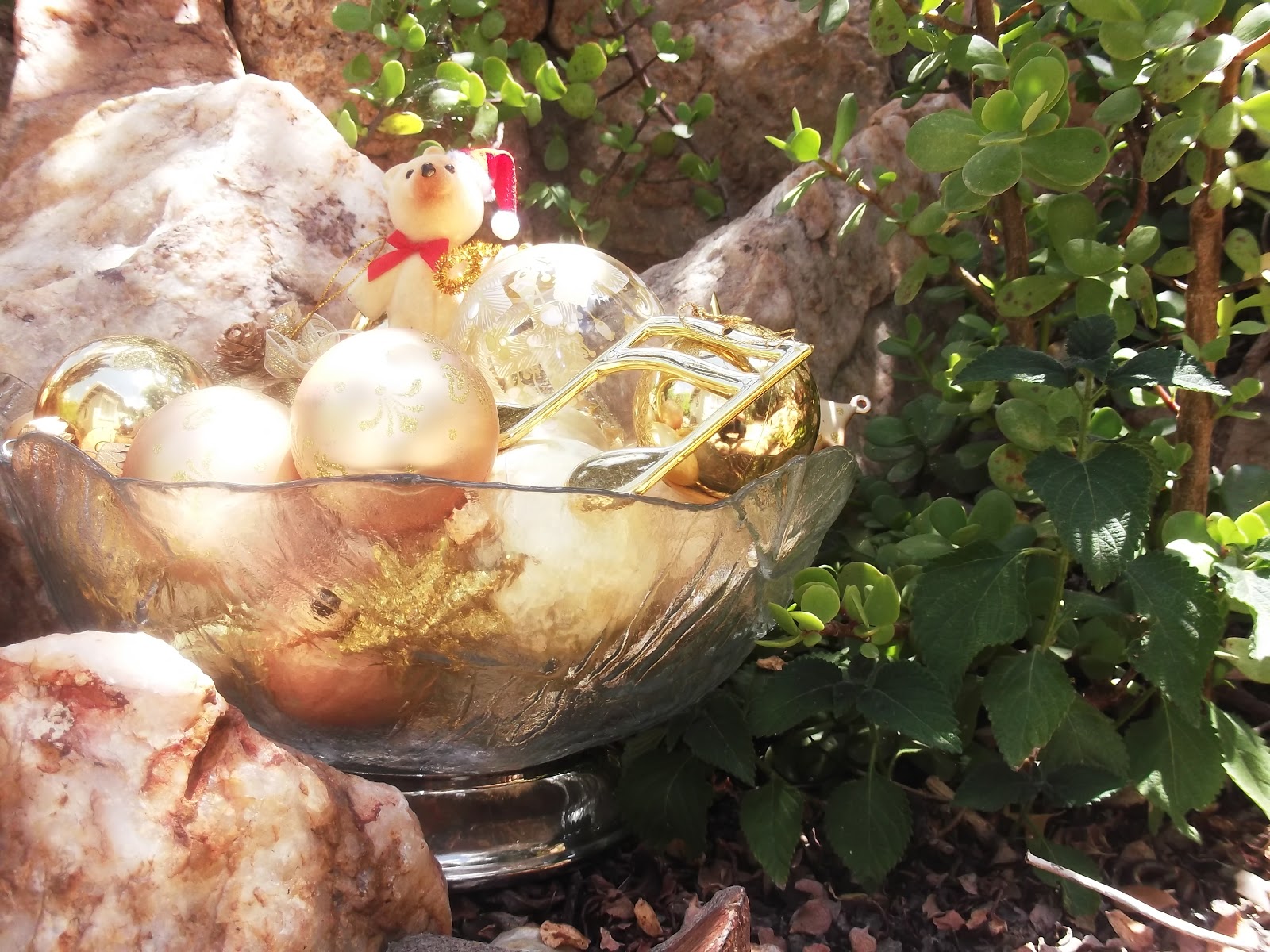 AE Tourism Consulting - Namibia: Namibia at Christmas!