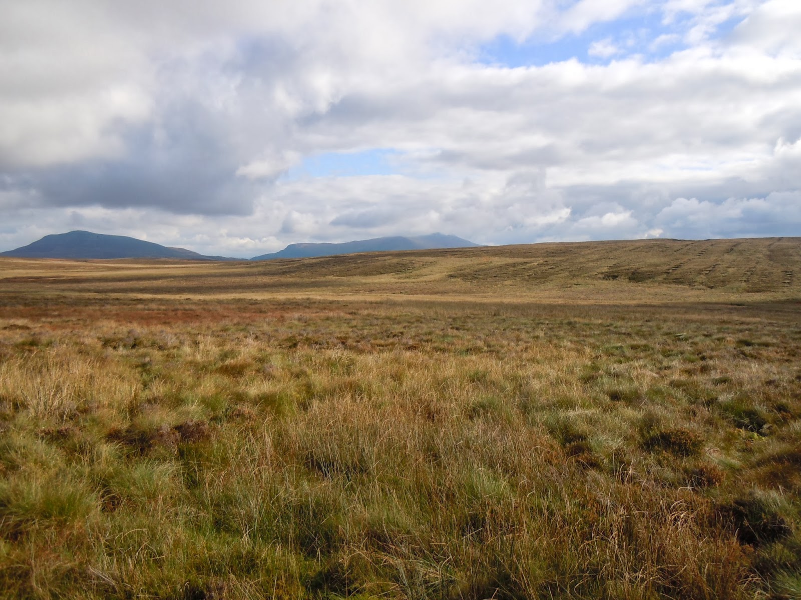 The Wetland Conservation Diary (UK): Tale of the two peatlands! Cord ...