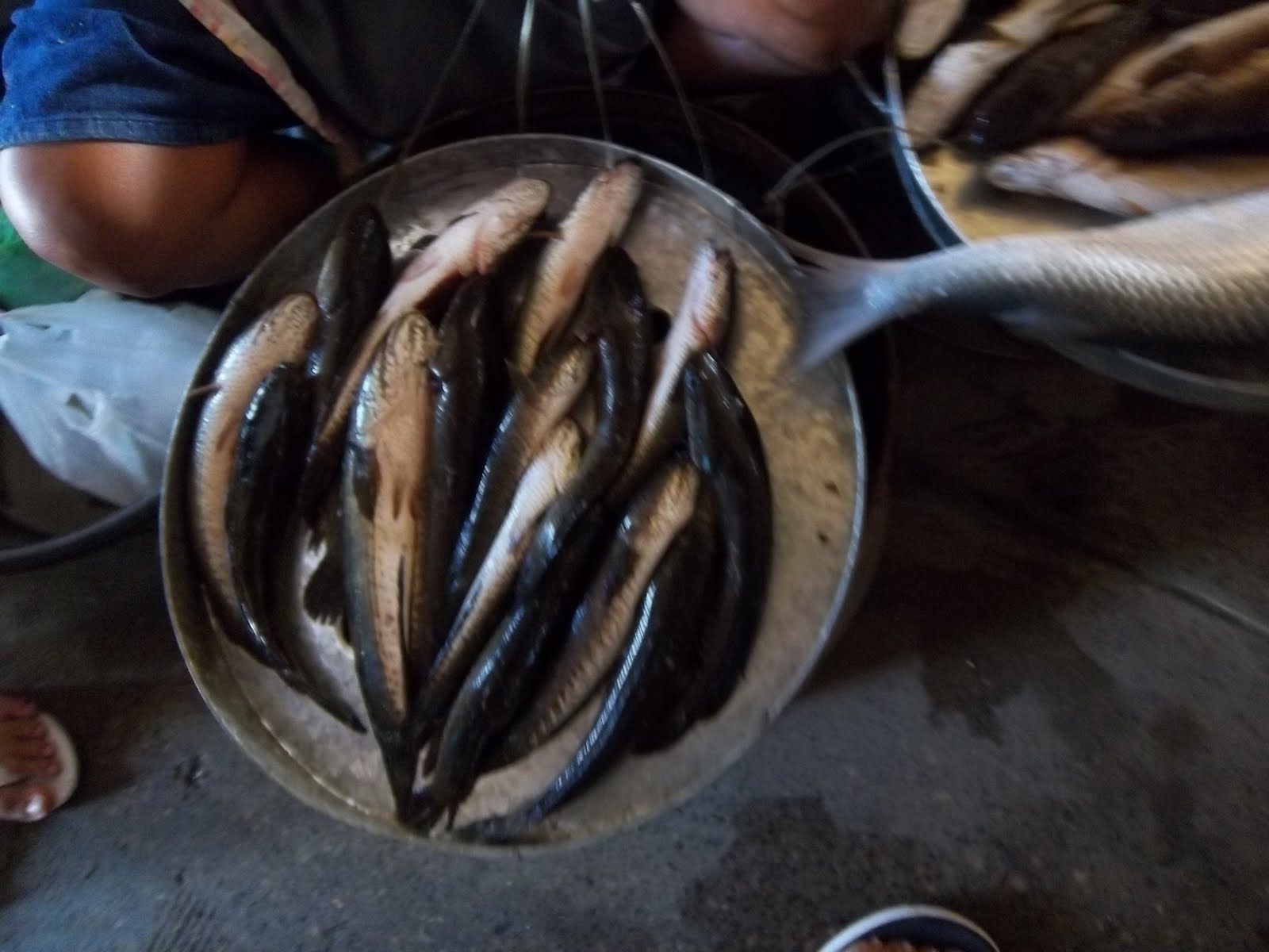 Laugh at the Days to Come: Aparri Cagayan