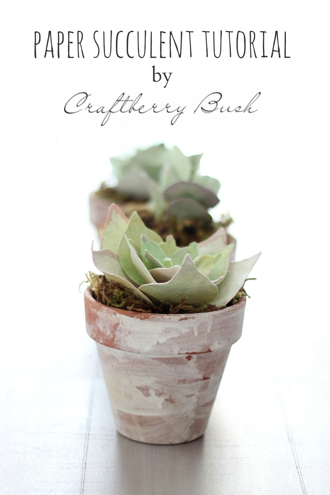 Paper succulent tutorial | Craftberry Bush | Bloglovin’
