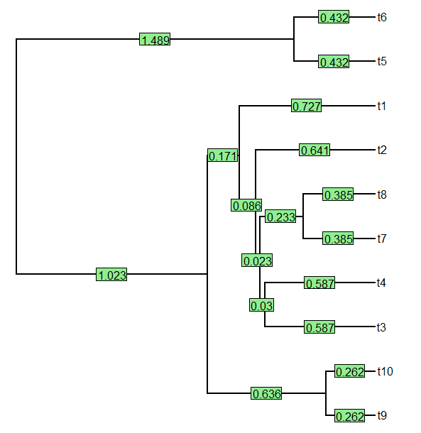 Phylogenetic Tools For Comparative Biology Finding The Edge Lengths Of All The Terminal