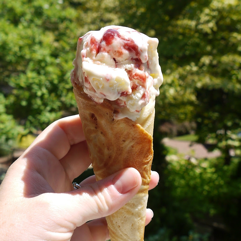 Being the Secret Ingredient: Sweet Corn and Black Raspberry Ice Cream ...