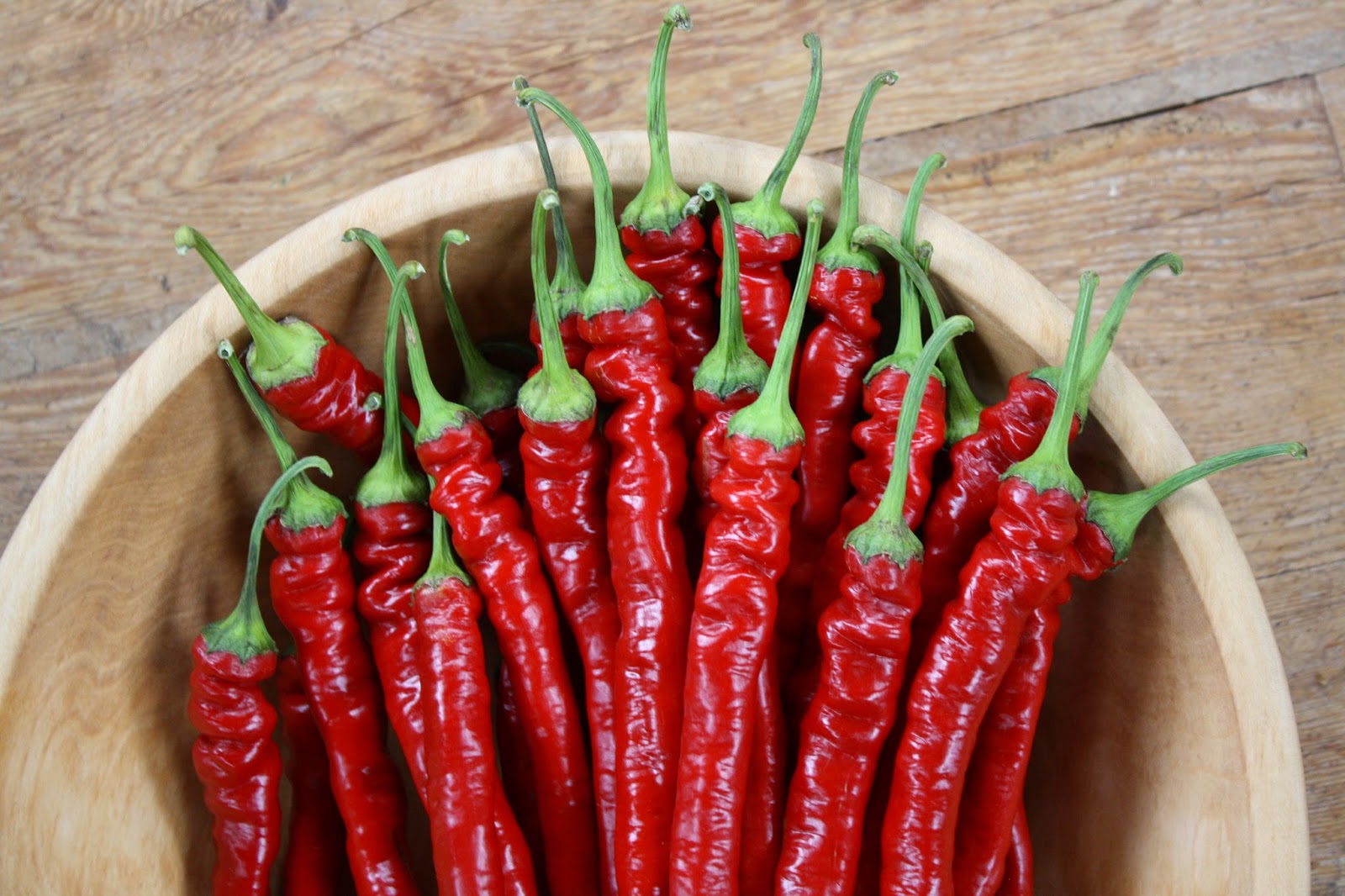 OATSPLANTER SEED: SEED DESCRIPTIONS