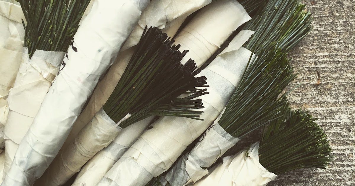 Doodlebug Dabblings: creating art tools from nature