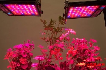 led lighting residential led home lighting 12 volt led lighting led ...