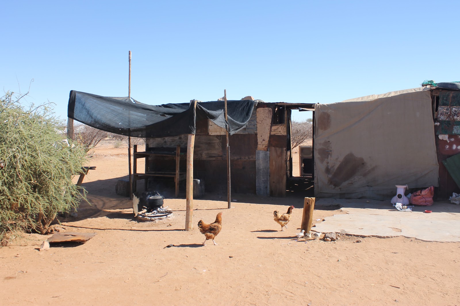 Okuhepa: Ûiba Ôas Crystals Market