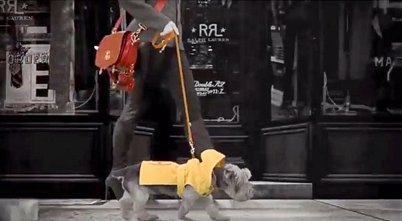 Shelter DOGS Star in STUNNING CGI TV AD! | BOLD and UNUSUAL DOG Stories ...