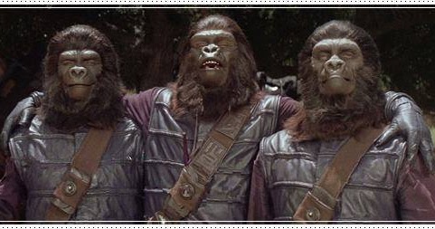 Yüreğimin İklimi: 100. MAYMUN HİKAYESİ