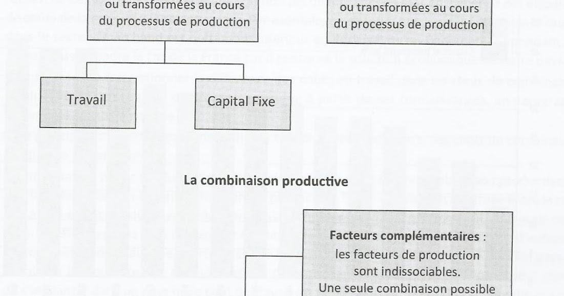 Sciences économiques et sociales en première au lycée Arnaut Daniel de ...