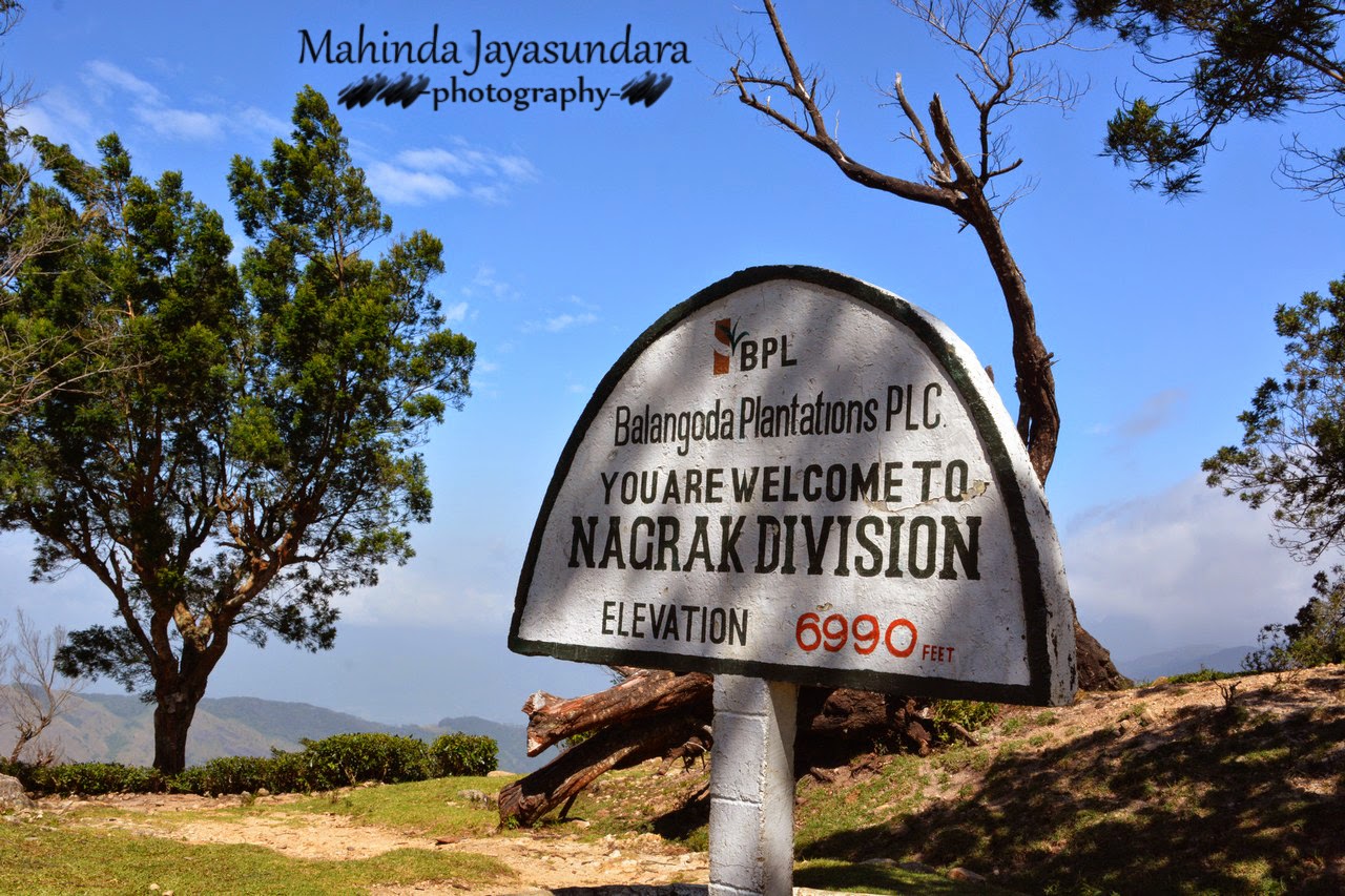 Nagrak Bungalow: Nagrak Bungalow Sri Lanka