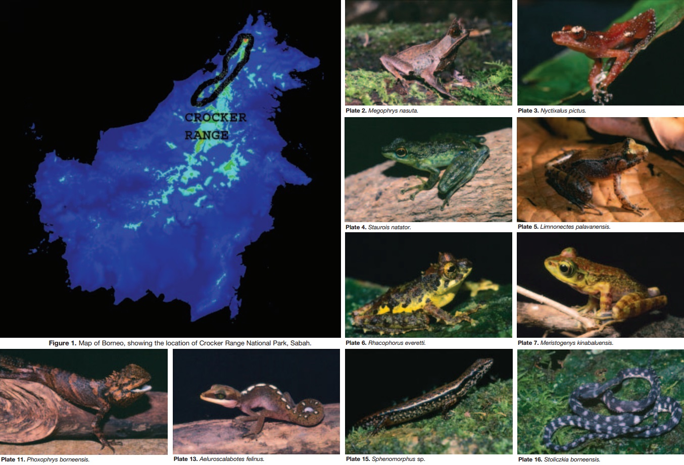 Crocker Range National Park