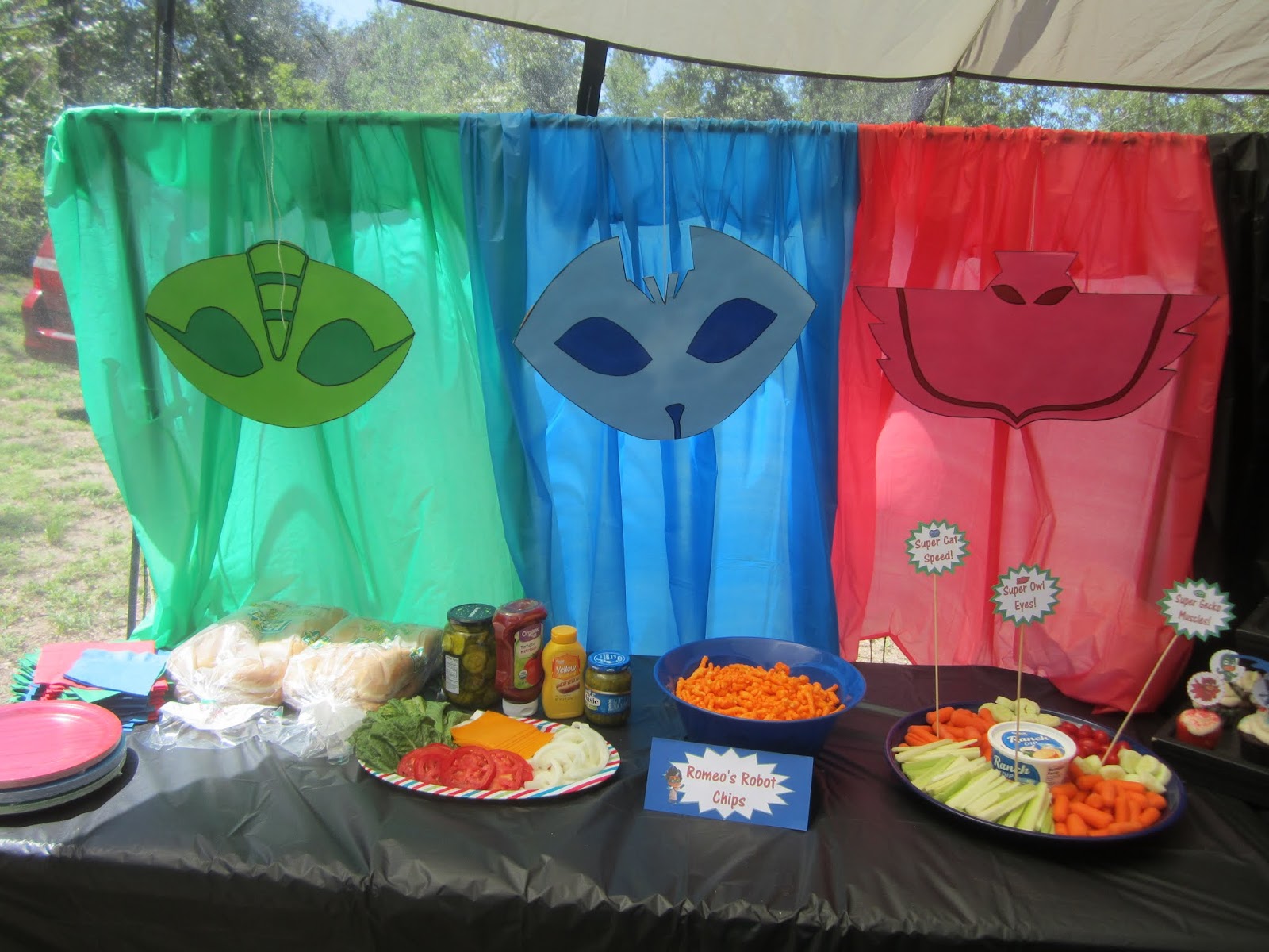 { Life's Simplicity }: PJ Mask Birthday Bash!