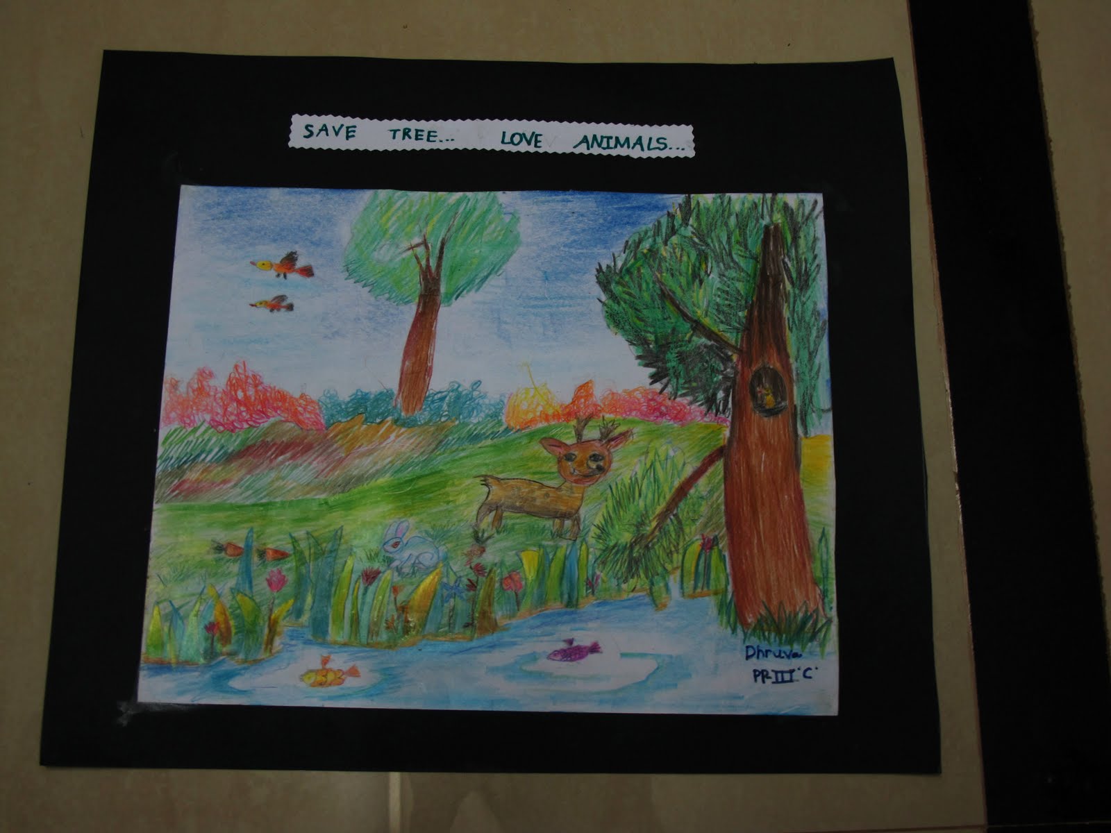 sihinenapu: dhruva's drawing on 'save forest'