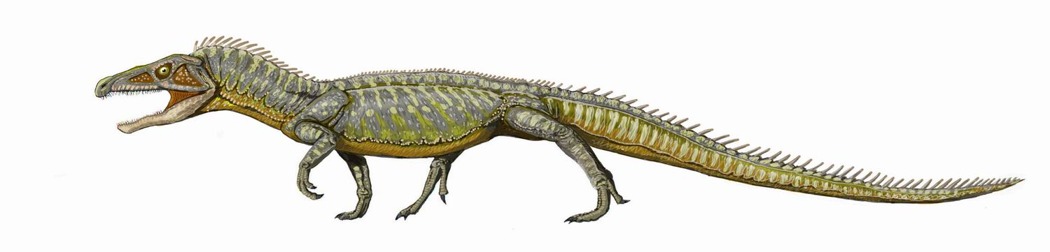 Επιστήμη από παιδιά