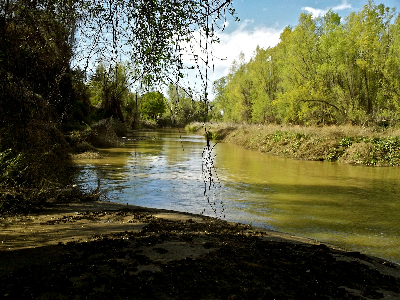 State Park Closures Trip: COLUSA-SACRAMENTO RIVER STATE RECREATION AREA ...
