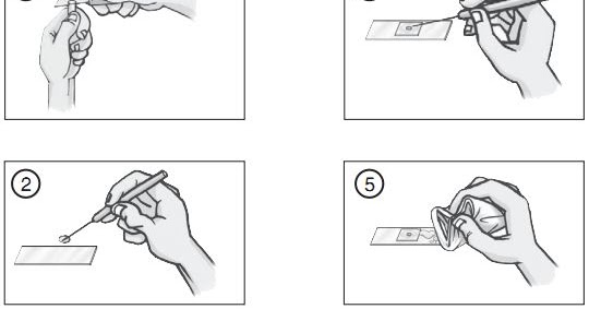 cara membudidayakan ikan gurame: Cara membuat preparat sayatan basah ...