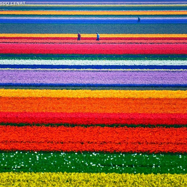 Menzere sekilleri (25 foto)-Xos Gelmisiniz