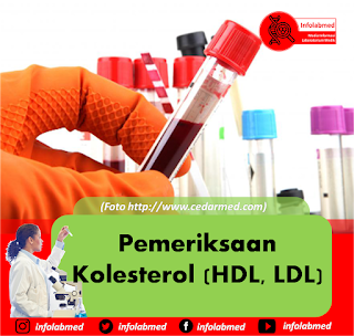 Pemeriksaan Kolesterol (HDL, LDL)