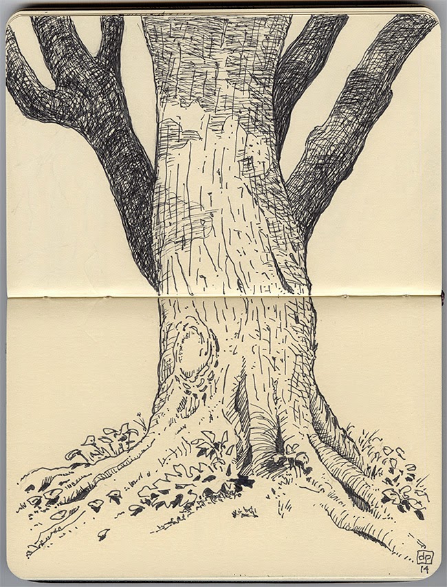Les dessins de Daniel: Tronc d'arbre - Tree trunk