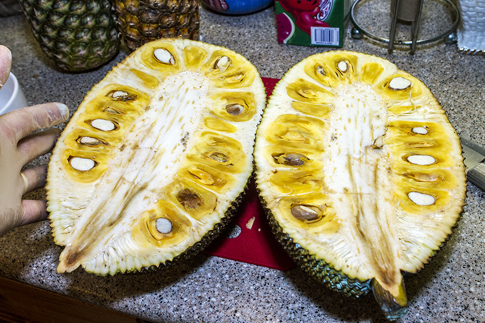 Gibberish: Jackfruit-infused rum