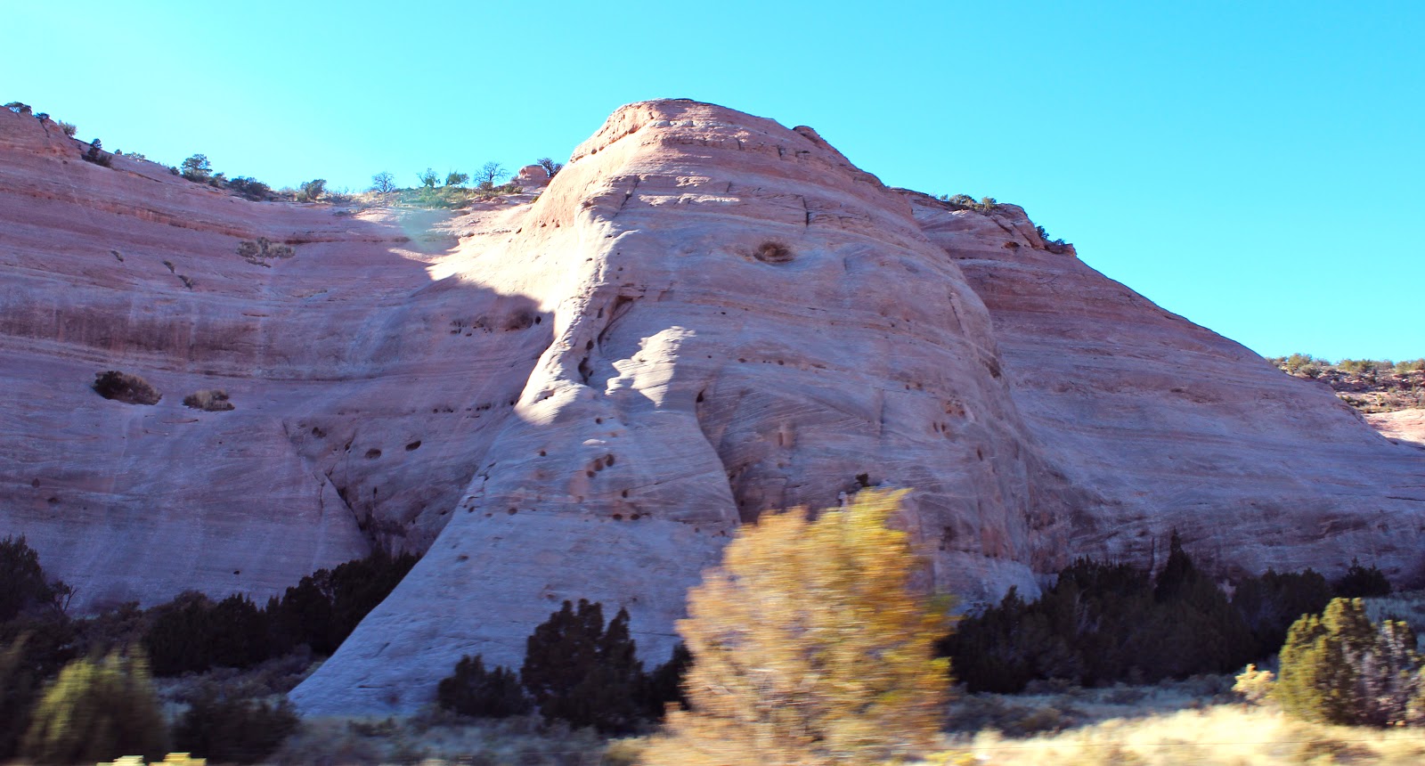 Honey's Treasures: New Mexico, Painted Desert and Petrified Forest