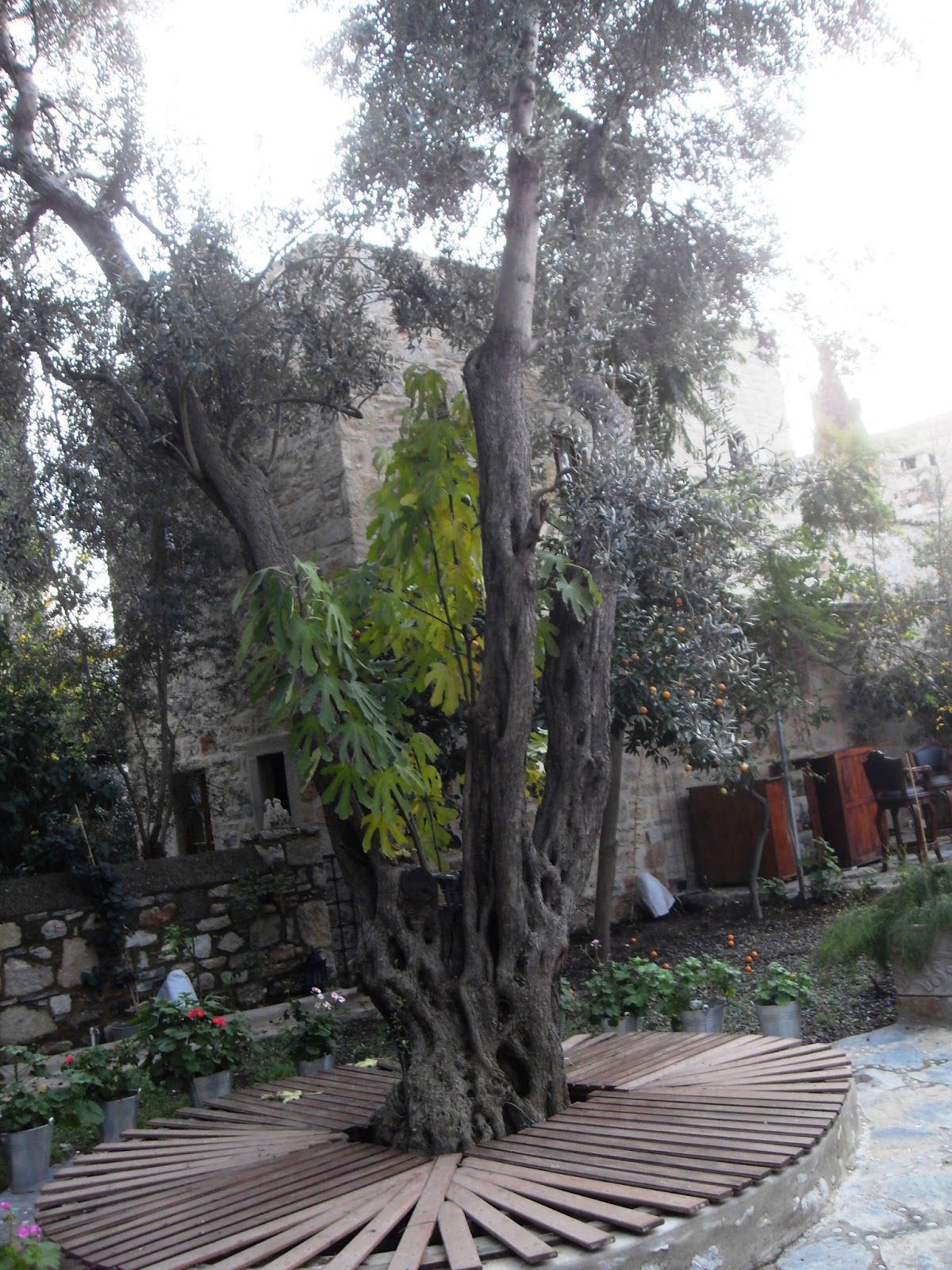 Bodrum, Bodrum...: Bodrum’un göbeğinde cennet gibi bir butik otel: Ha ...