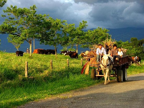 LUGARES: ¿Qué es la vida rural?