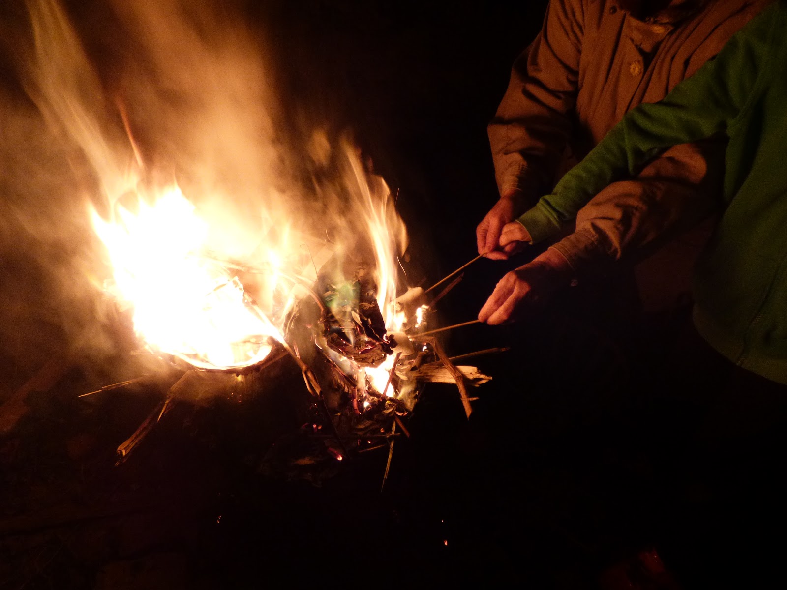 Chez Maximka: Bonfire Night: the full Moon, friends and marshmallows