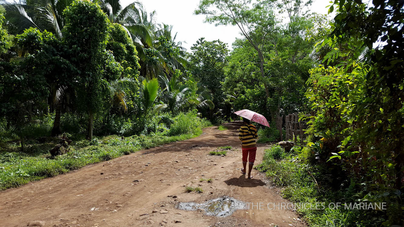 Back Home in Mandaon, Masbate | The Chronicles of Mariane