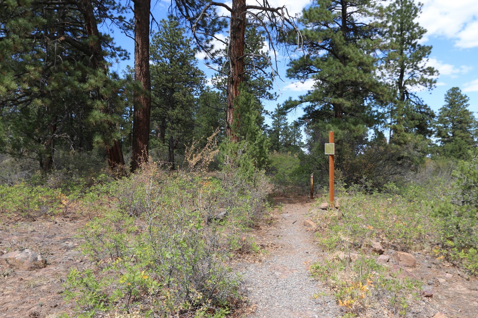 gjhikes.com: Dave Wood Interpretive Trail