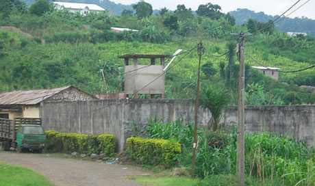 WELCOME TO THAMPERS MEDIA: Southern Cameroons Struggle: Profiling ...