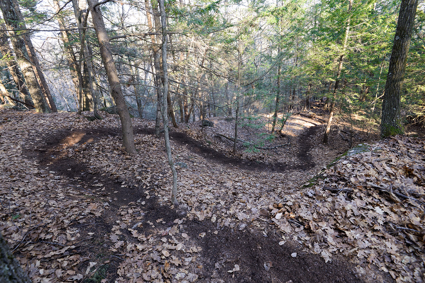 Northeast Adventures: Bonus Site: Catamount State Forest