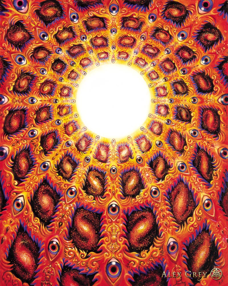 Cromofora La ( Paloma) Contemporary Art Gallery/Magazine: ALEX GREY ...
