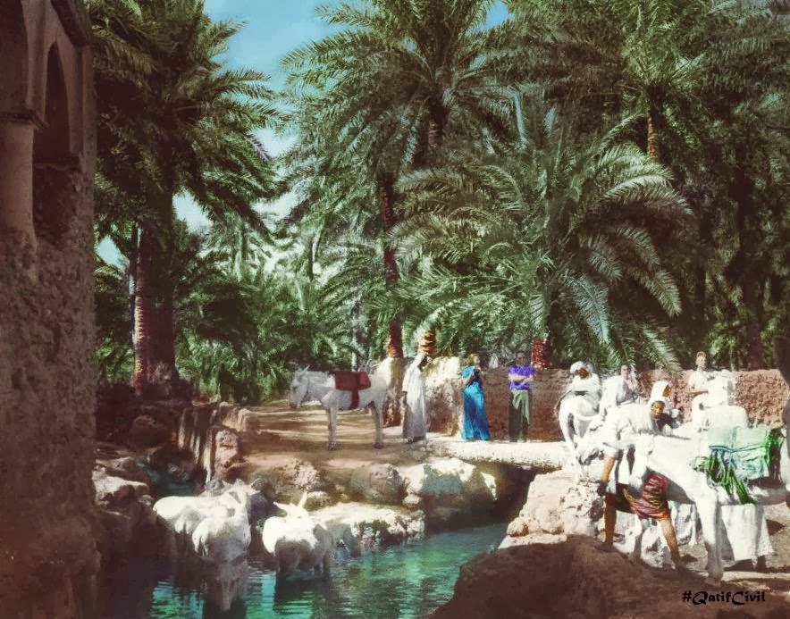 Arabian Anthropology: Qatif in the 21st Century: An Ongoing Struggle ...