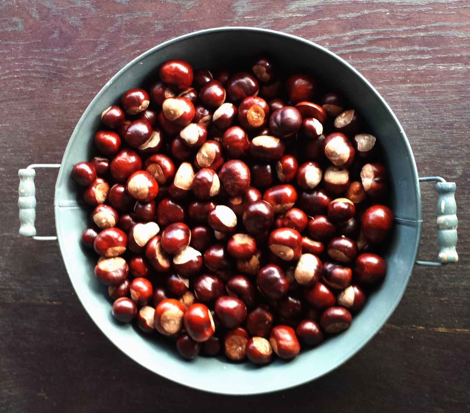 HIŠA Z VRTOM: DIVJI KOSTANJ ZA LEPE NOGE