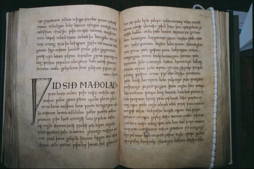 The Medieval World: Guest Post by Amy Ellis-Thompson: Manuscript ...