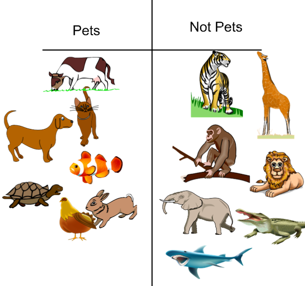 Miss. Vanchu's Classroom Blog : Pets