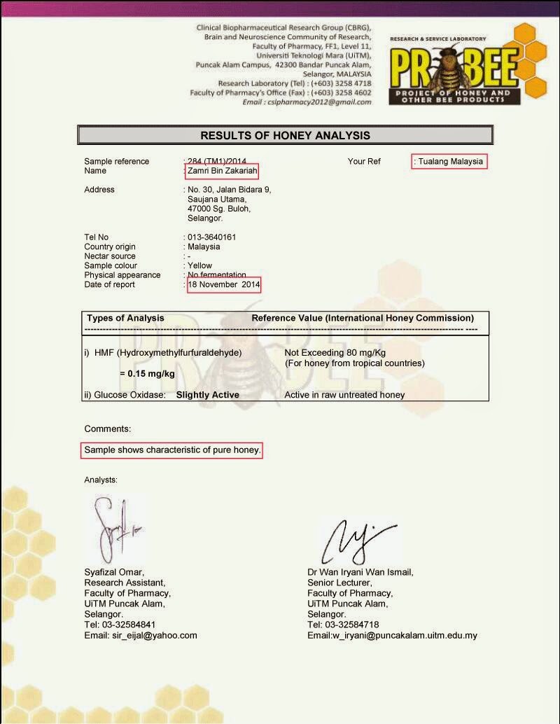 Ubat Asma Terbaik: Utama