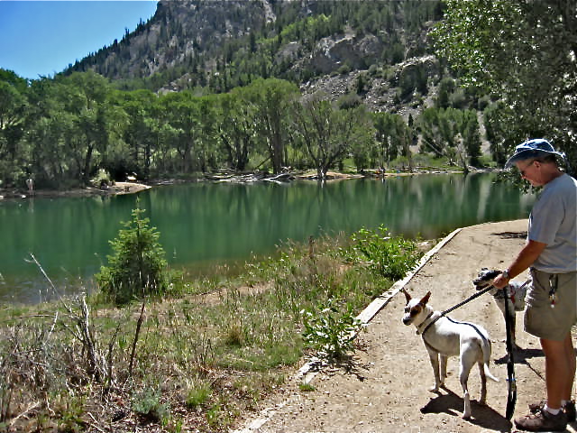 Travel With Whippets: Boondocking at Chalk Lake NFS Campground, Colorado