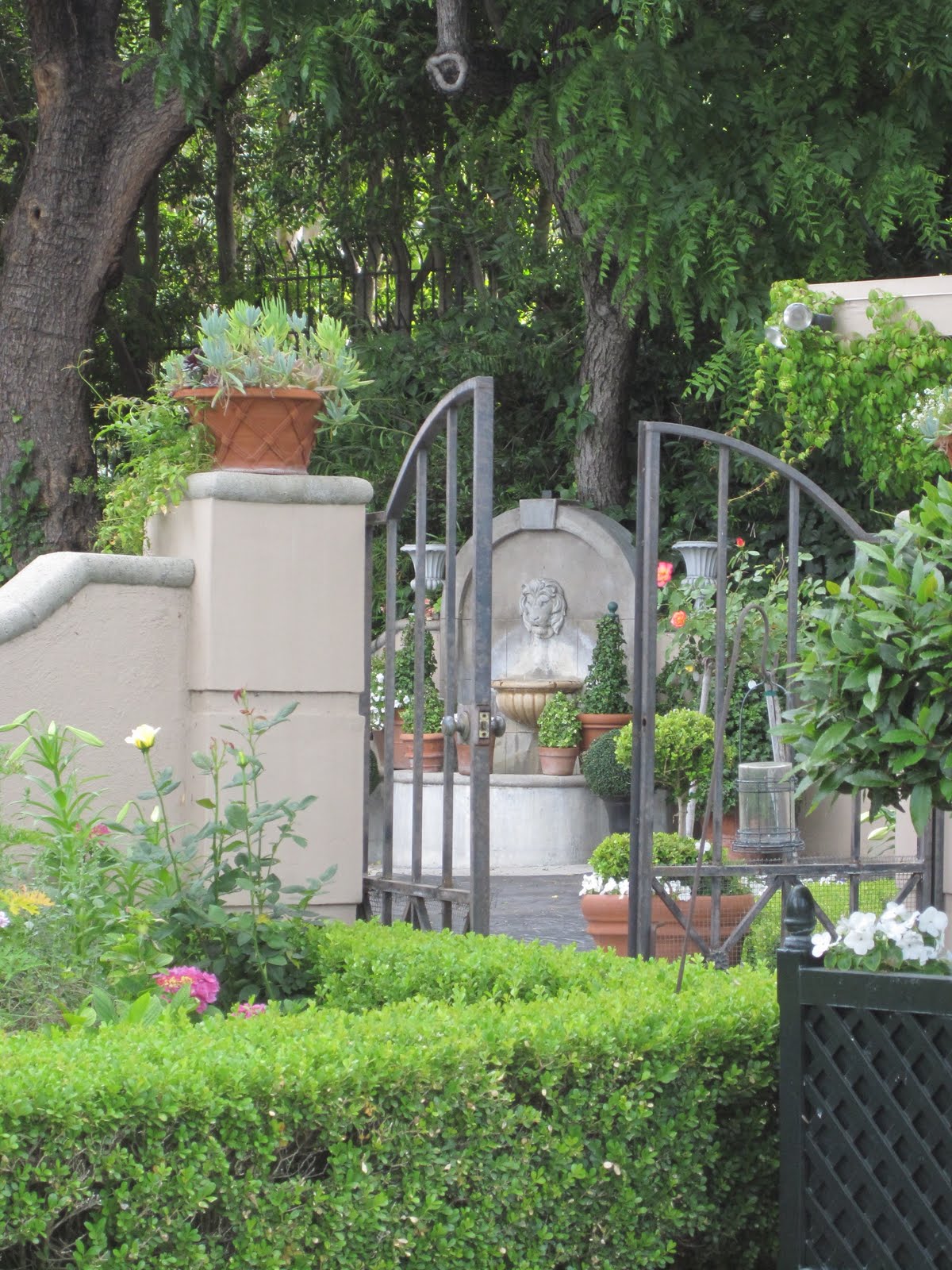 Joe Ruggiero Designer/ HGTV Host: Container Gardens Provide A Great ...