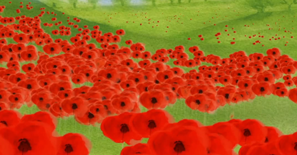 Watch 'Poppies' the BBC's Beautiful Remembrance Animation. | AFA ...