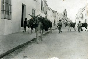 Rflx-s: REFLEXIÓN SOBRE EL ARRIERO........