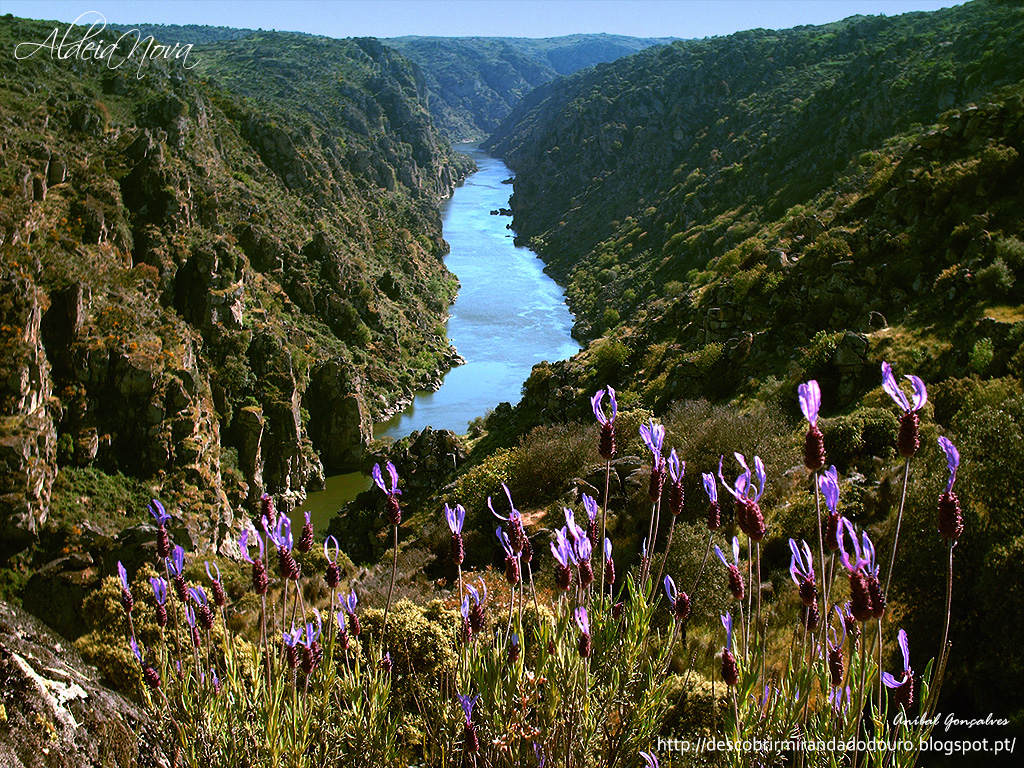 À Descoberta de Miranda do Douro: Rio Douro