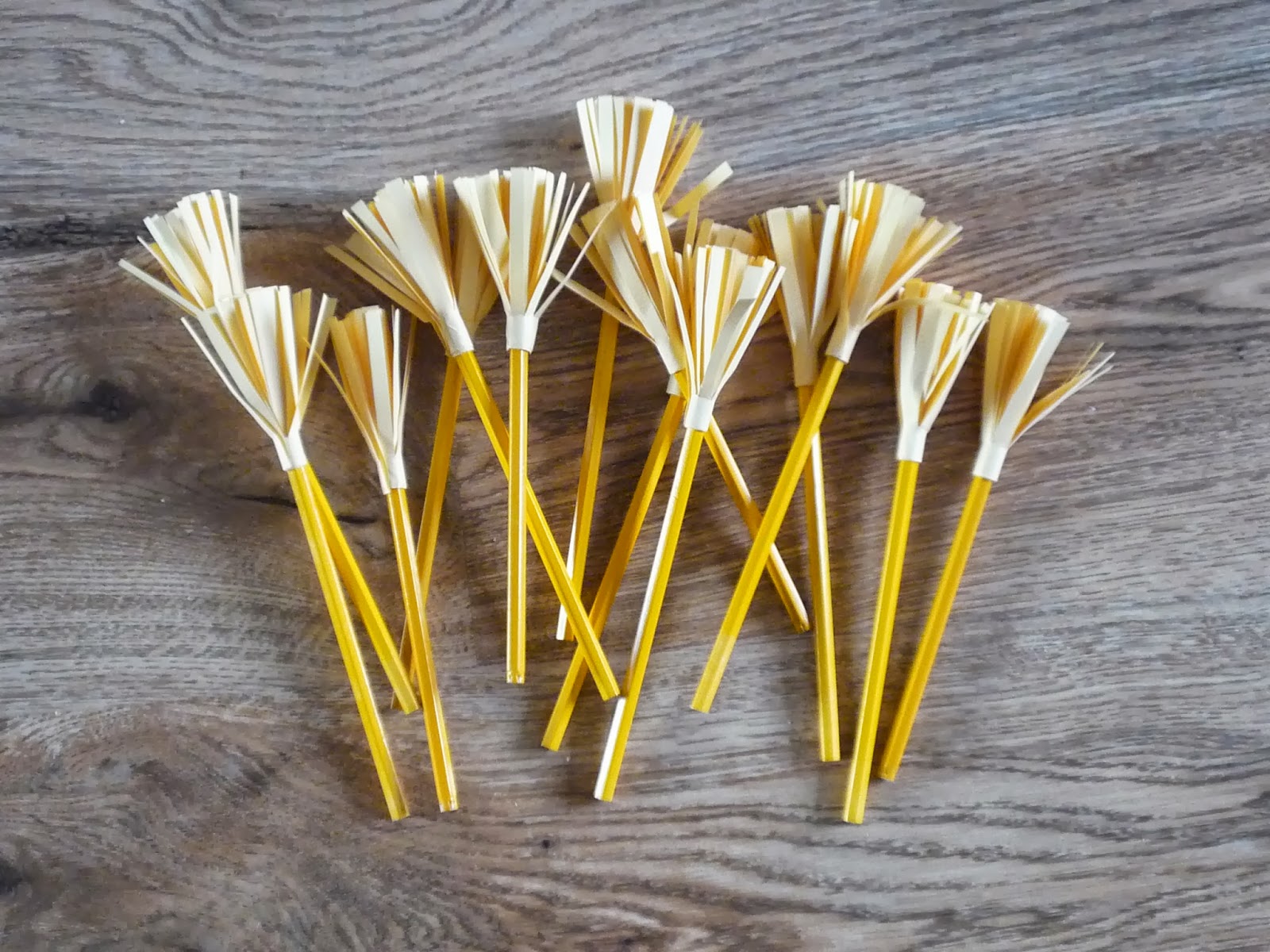 Cursuri Origami: octombrie 2013